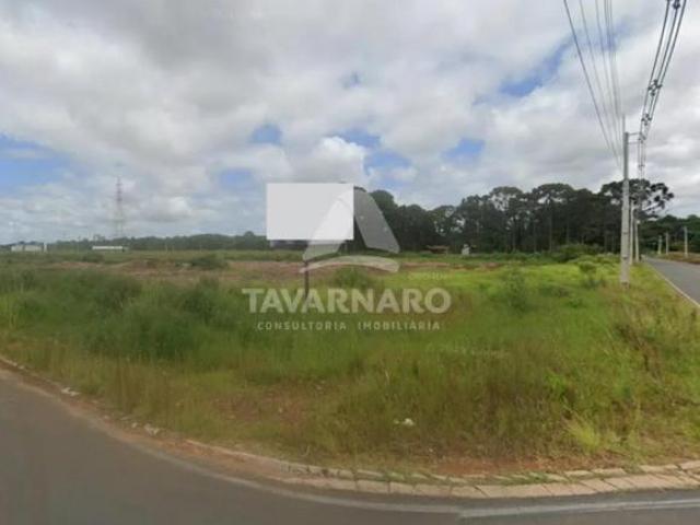 Terreno Condomínio em Ponta Grossa