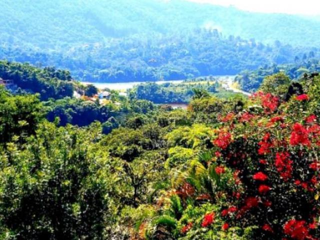 Terreno condomínio Jardim Lago da Cantareira Serra da Cantareira