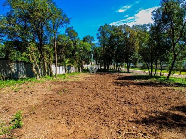 TERRENO CONDOMÍNIO ORLEANS CURITIBA