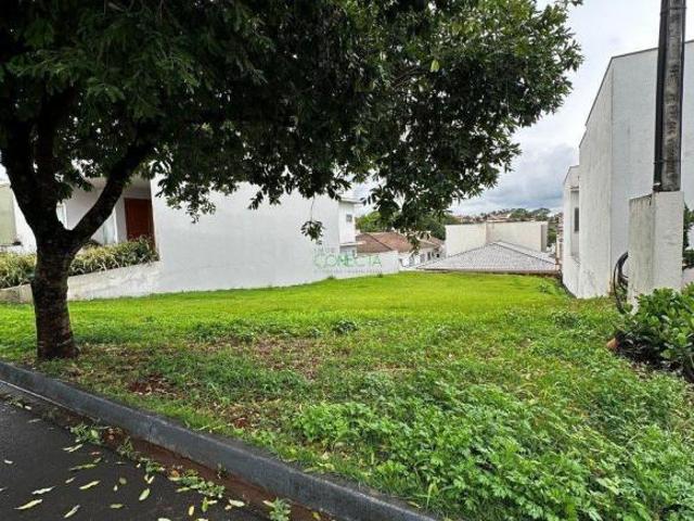 Terreno Condomínio | Moradas do Arvoredo