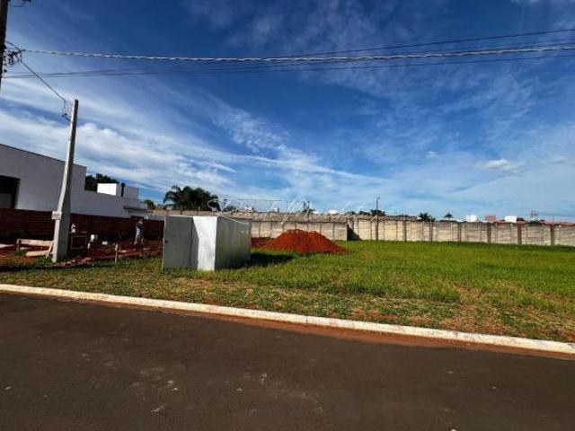 Terreno Condomínio Novo Campestre 312m² plano Campestre Piracicaba