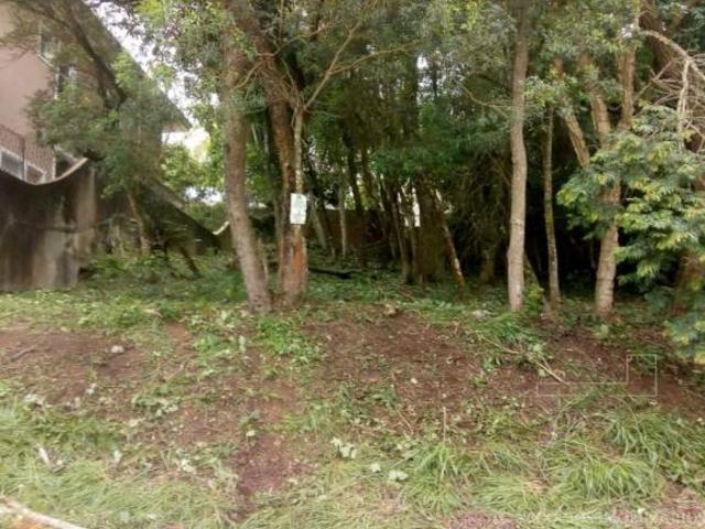 Terreno Condomínio Reserva do Moinho, Chácara Moinho Velho Carapicuíba, SP