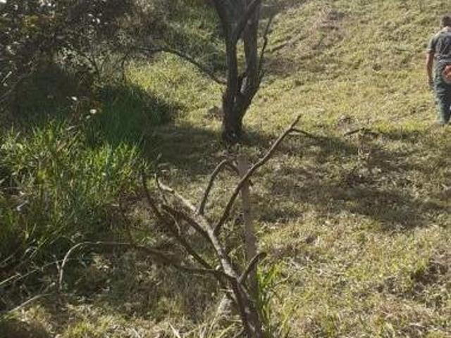 Terreno, Condomínio Tarumã, Santana de Parnaíba, SP