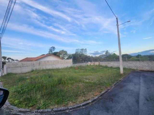 Terreno, Conjunto Habitacional Monsenhor Francisco Gorski, Campo Largo, PR