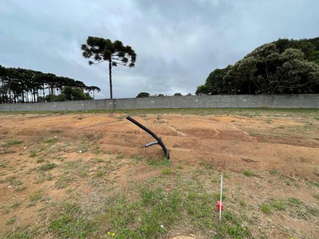 Terreno, Costeira, São José dos Pinhais, PR