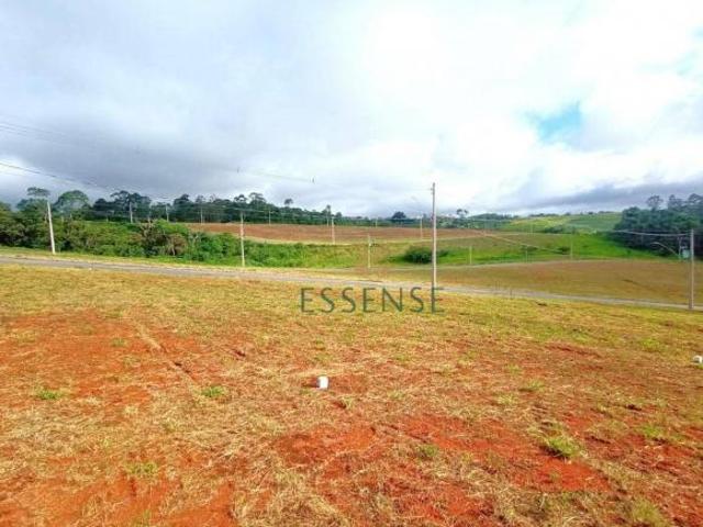 Terreno de Alto Padrão à Venda de 191m² no Condomínio Paradise Gardens Vila Oliveira em Mogi das C