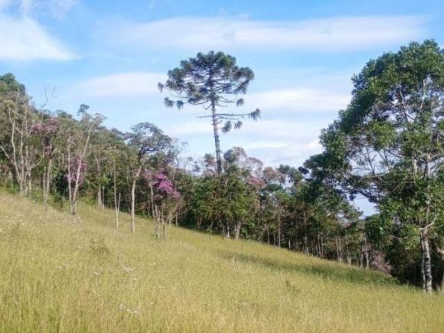 Terreno de Alto Padrão à Venda em Santo Antônio do Pinhal — Vista Exclusiva para a Serra da Mantique