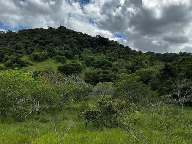 Terreno de aproximadamente 47 hectares no Periquito MG