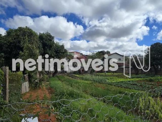 Terreno de aproximadamente 1.366m²  no Tirol, Belo Horizonte, Próximo ao Apoio Mineiro