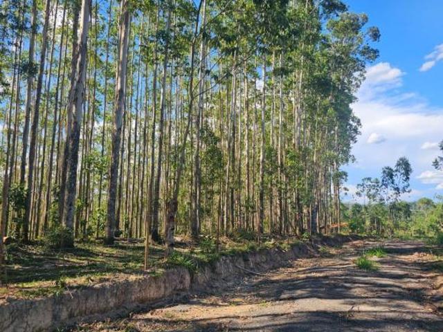Terreno de boa topografia com lago* em Juquitiba
