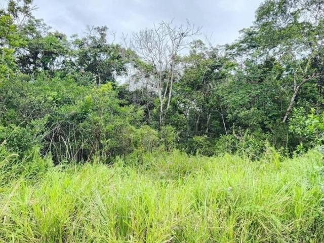 Terreno de chácara 7000m² á venda em Itanhaém/SP