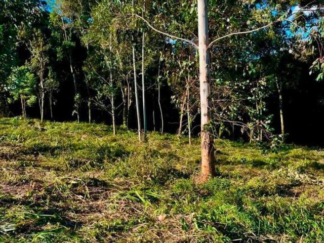 Terreno de Chácara à Venda em Campo Largo – 6.000m²