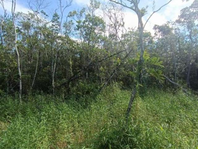 TERRENO DE CHÁCARA A VENDA NA PRAIA EM ITANHAÉM