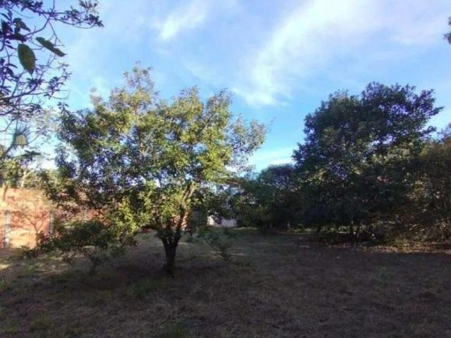 Terreno de chácara à venda no Cruzeiro do Sul em Santa Bárbara d&apos Oeste