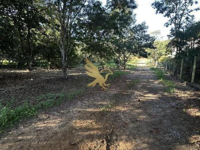 Terreno de chácara no sítio primavera em Jarinu