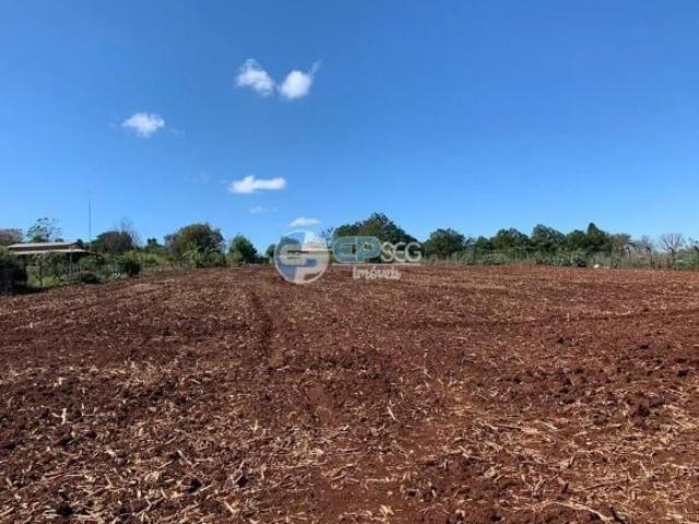 Terreno de Chácara Recanto Fazenda Nata caminho Estrada do Limoeiro atrás do Restaurante Rural Shali