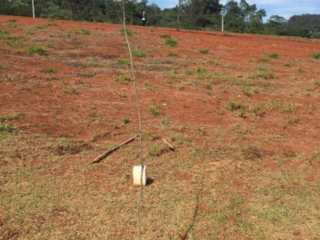 Terreno de Condomínio, Vila Moraes, Mogi das Cruzes R$ 390 mil, Cod: 4056