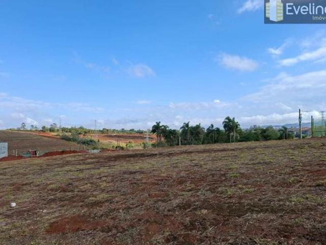 Terreno de Condomínio, Vila Oliveira, Mogi das Cruzes R$ 419 mil, Cod: 4521
