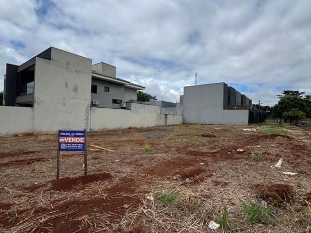Terreno de equina