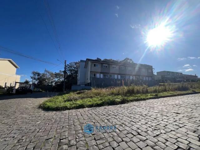 Terreno de esquina 390m² bairro Desvio Rizzo