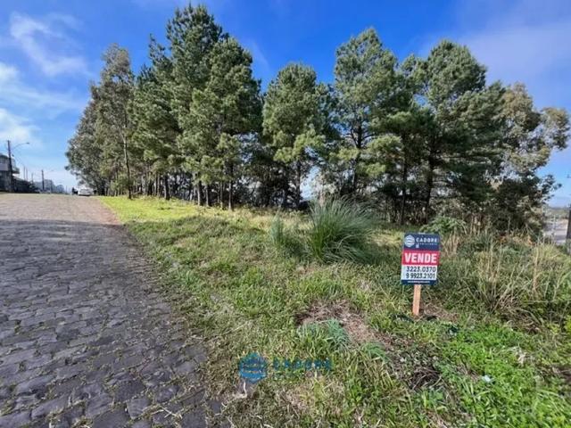 Terreno de esquina 685 m² bairro Desvio Rizzo