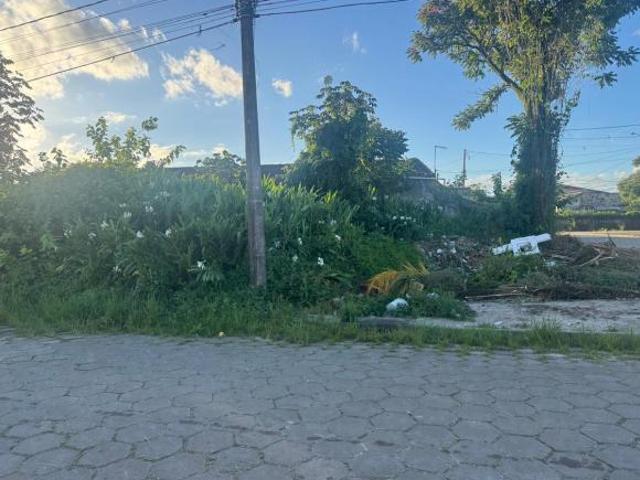 Terreno de esquina com liberação ambiental R$ 125.000,00