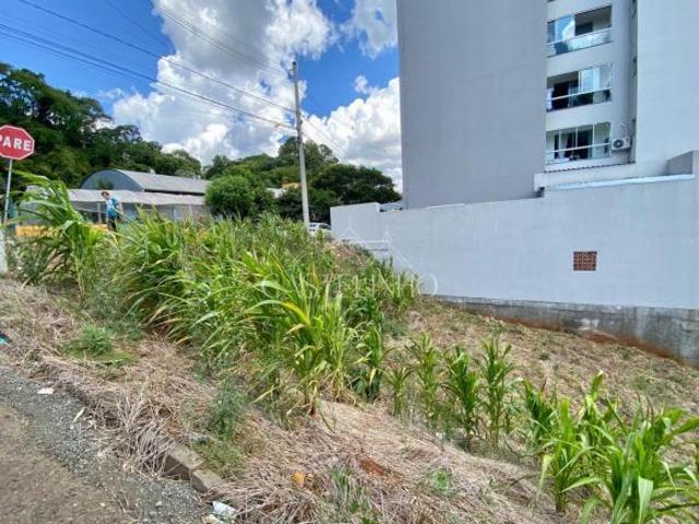 TERRENO DE ESQUINA COM 375,58 M² B. TRÊS VENDAS