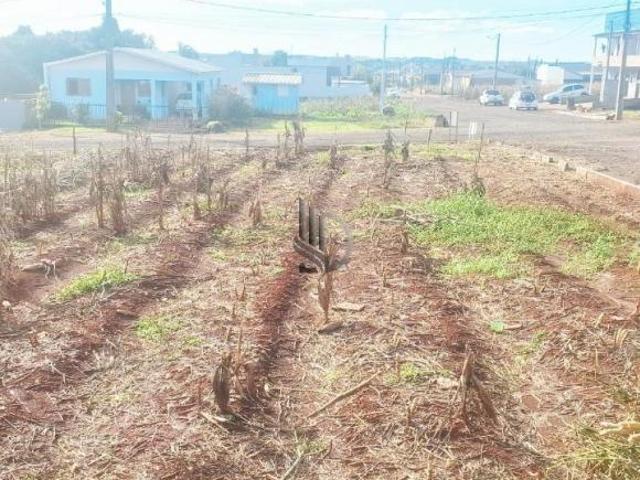 Terreno de Esquina com 301m² à Venda em Selbach RS, Bairro Santa Fé: Amplo e Próximo à Avenida