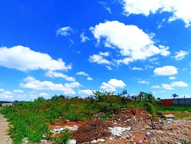 Terreno de Esquina com 686,76m² na Avenida Mauá – Excelente Localização no Bairro Rio dos Sinos em
