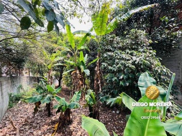 TERRENO DE ESQUINA À VENDA EM TERRA PRETA OPORTUNIDADE ÚNICA!