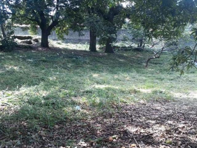 Terreno de Esquina à Venda no Bairro Trevo Pampulha com 2.000 m²