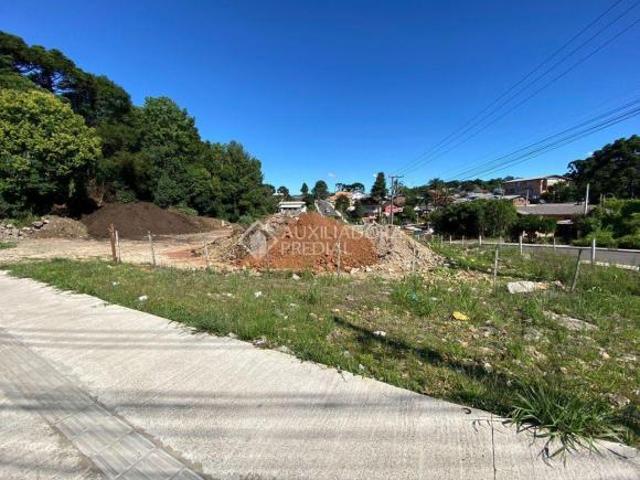 TERRENO DE ESQUINA NO CENTRO DE CANELA