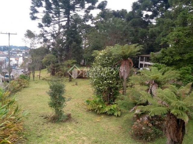 Terreno de esquina no centro de Canela