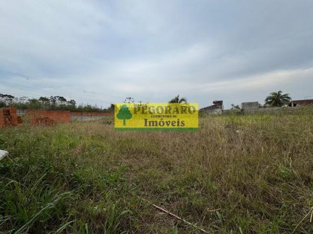 Terreno de Esquina no Getuba 1.118 m²: Plano, Murado, Pavimentado, Água e Luz Instalados