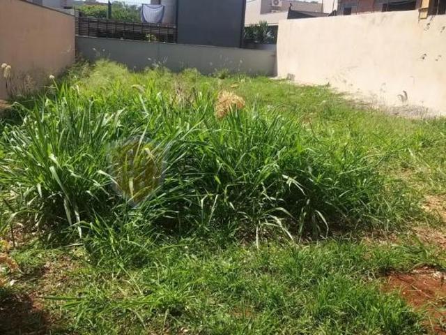 Terreno de Ilha, 300m², Condomínio Portal da Mata
