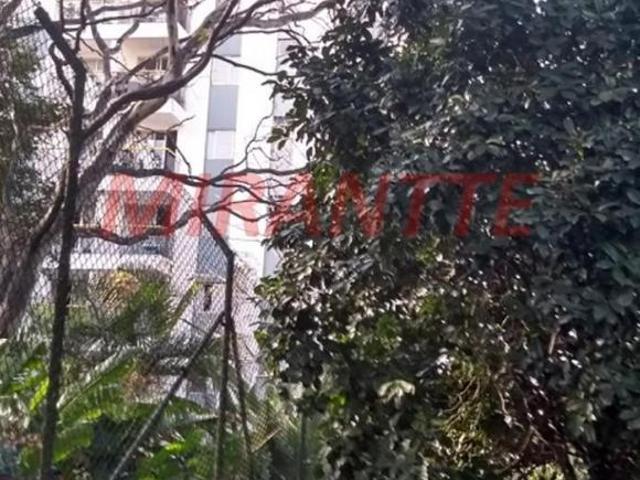 Terreno de 146m²