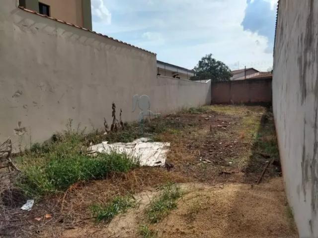 Terreno de 168m² à venda Residencial e Comercial Palmares