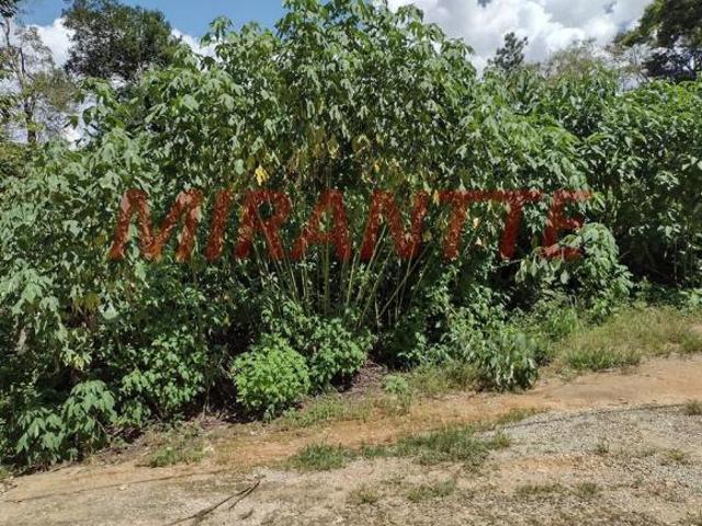 Terreno de 174m²