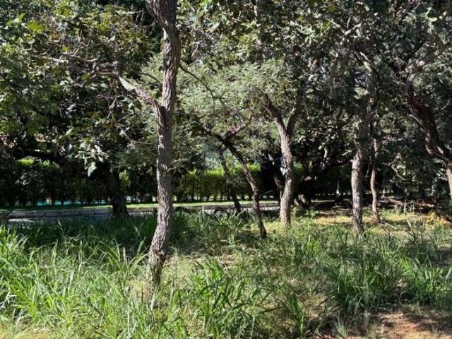 Terreno de 1802 m² á venda, Condomínio Jardins da Lagoa