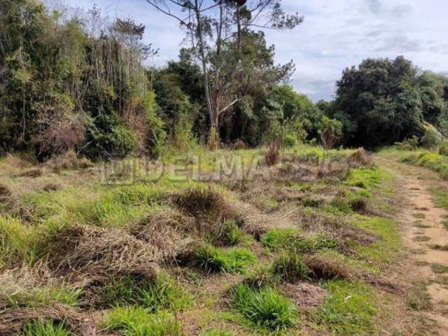Terreno de 18.500 m² com ótima topografia!