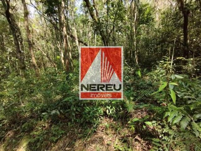 Terreno de 19.000 m² – Bairro tranquilo, arborizado e com fácil acesso!