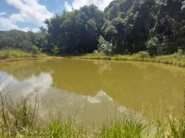 Terreno de 10000 m² a venda com agua e cachoeira no terreno, bairro Guaraiuva