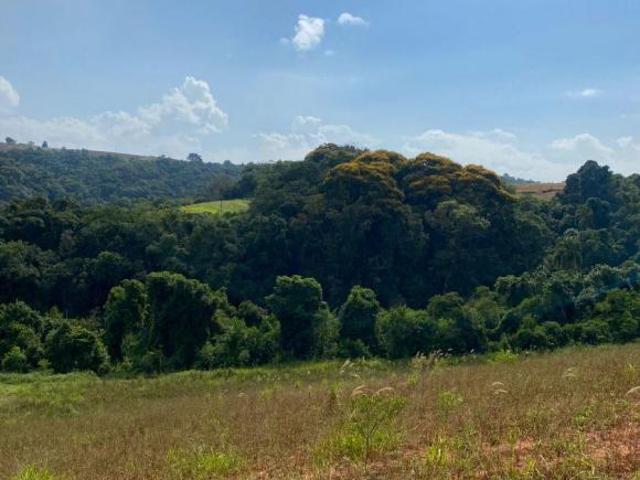 Terreno de 1000 m² à venda no Centro