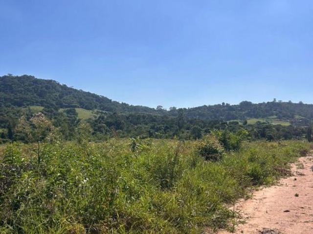 Terreno de 1000 m a venda Dona Catarina