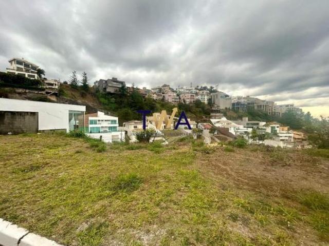 Terreno de 1000 m² com projeto arquitetônico no Vila Castela