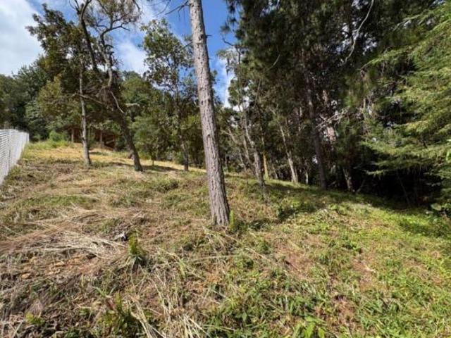 Terreno de 1000 m² en Campos do Jordão para venda