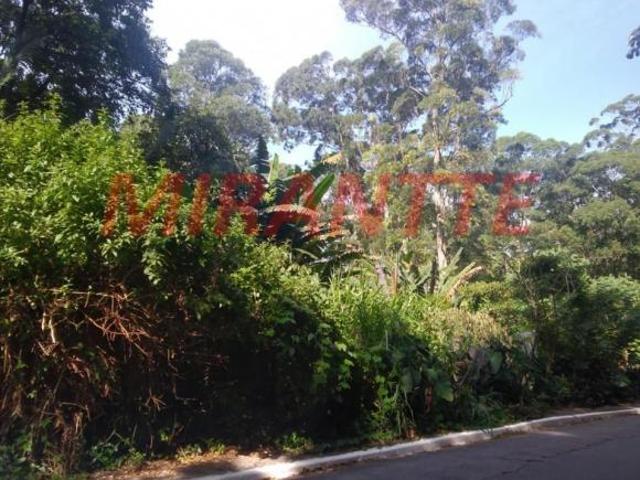 Terreno de 100m²