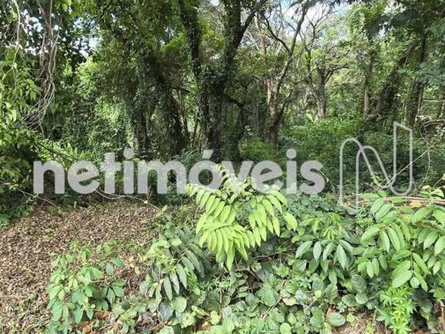 Terreno de 1060 m² no Vale do Tamanduá – Espaço, Privacidade e Grandes Possibilidades