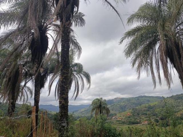 TERRENO DE 10 MIL M2 COM VISTA EM MOEDA