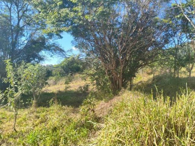 TERRENO DE 10.000M² PLANO COM NASCENTE E POTENCIAL PARA LAGOA À VENDA EM PIEDADE DOS GERAIS/MG
